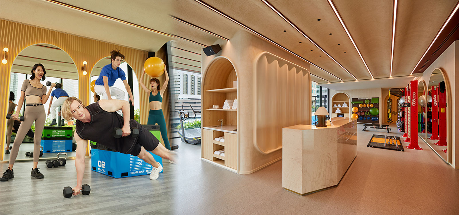 The Standard Gym ยิม 24 ชั่วโมงที่มาพร้อมดีไซน์ไม่เหมือนที่ไหน